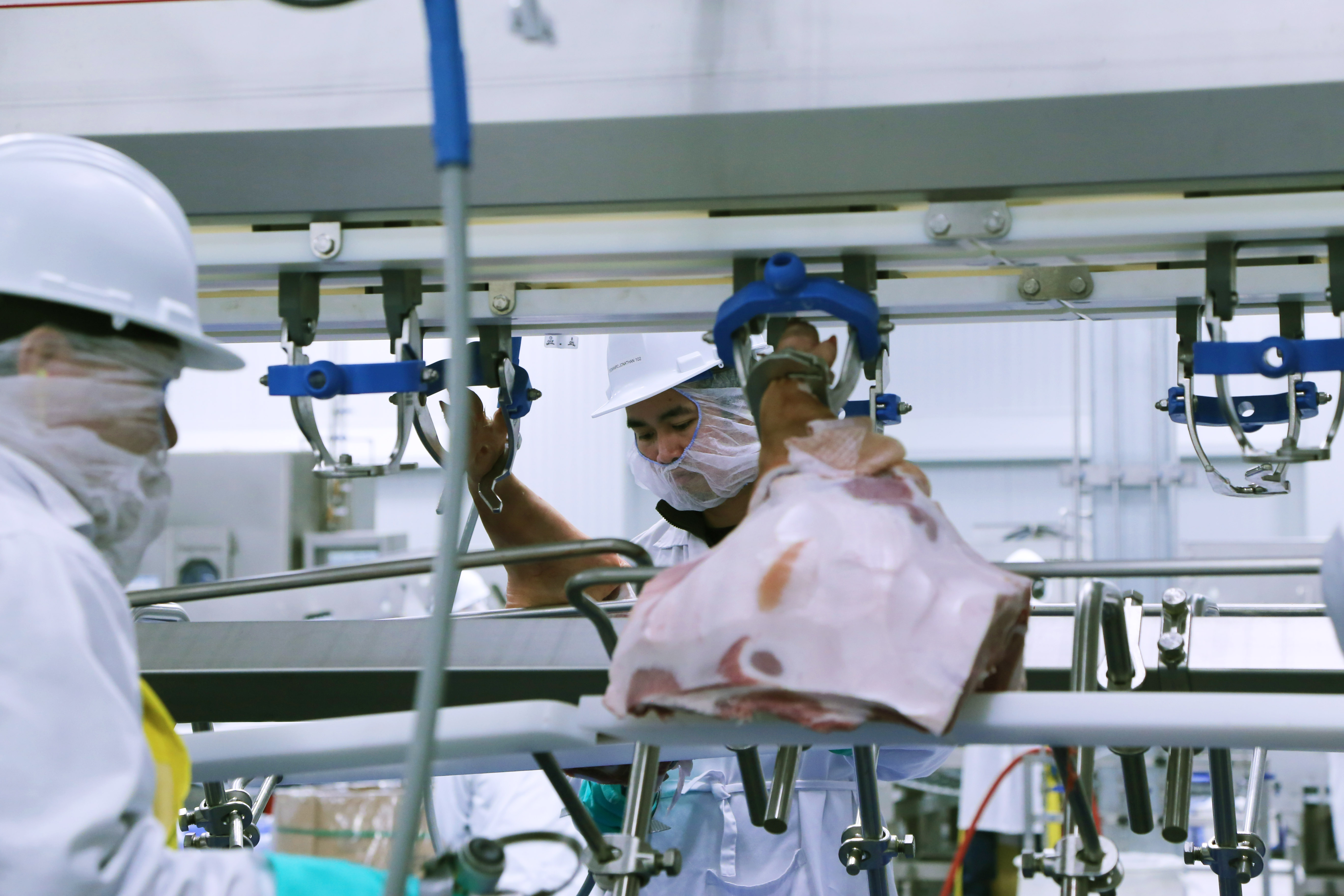 HyLife Pork Processing Plant | KGS Group