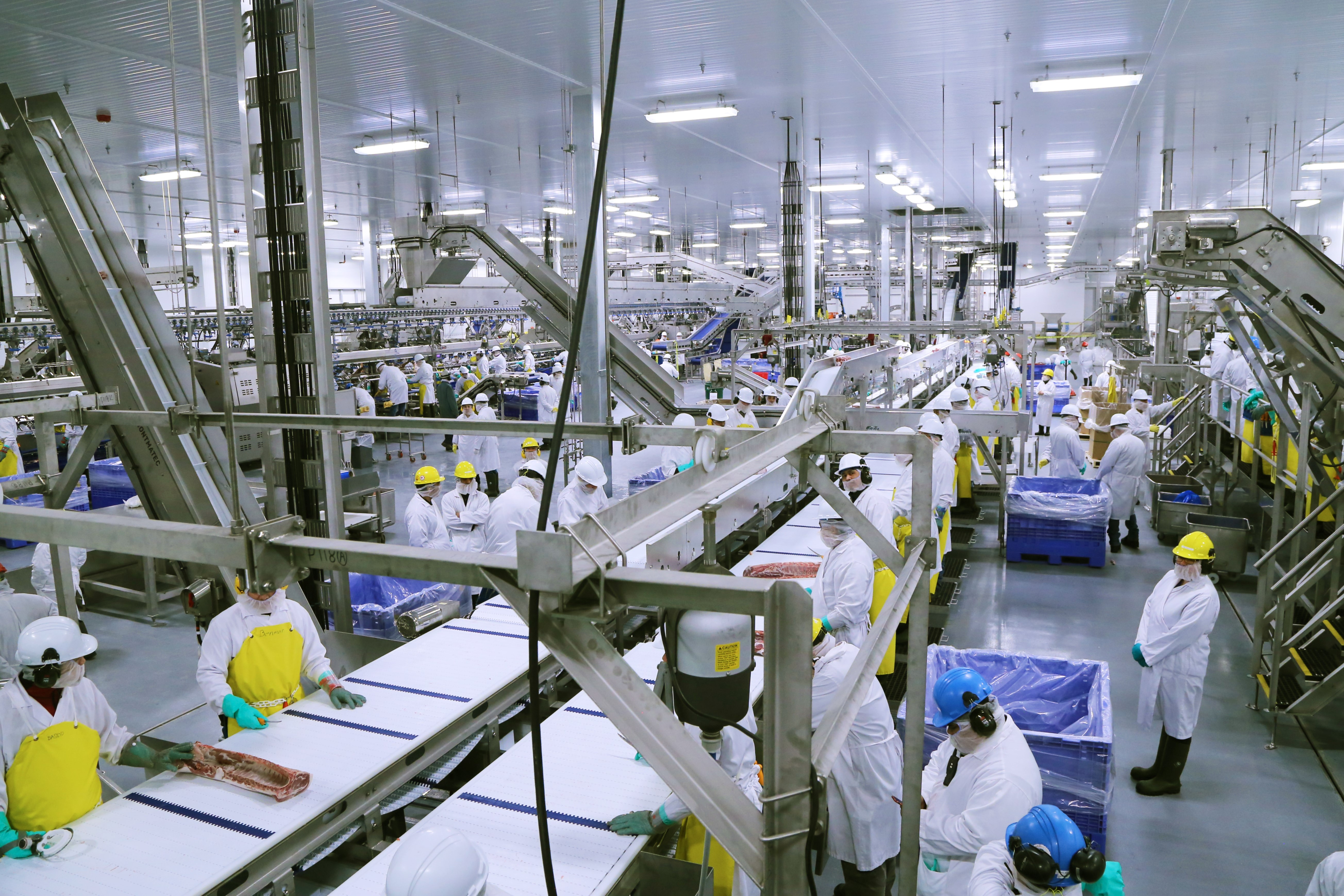 HyLife Pork Processing Plant | KGS Group