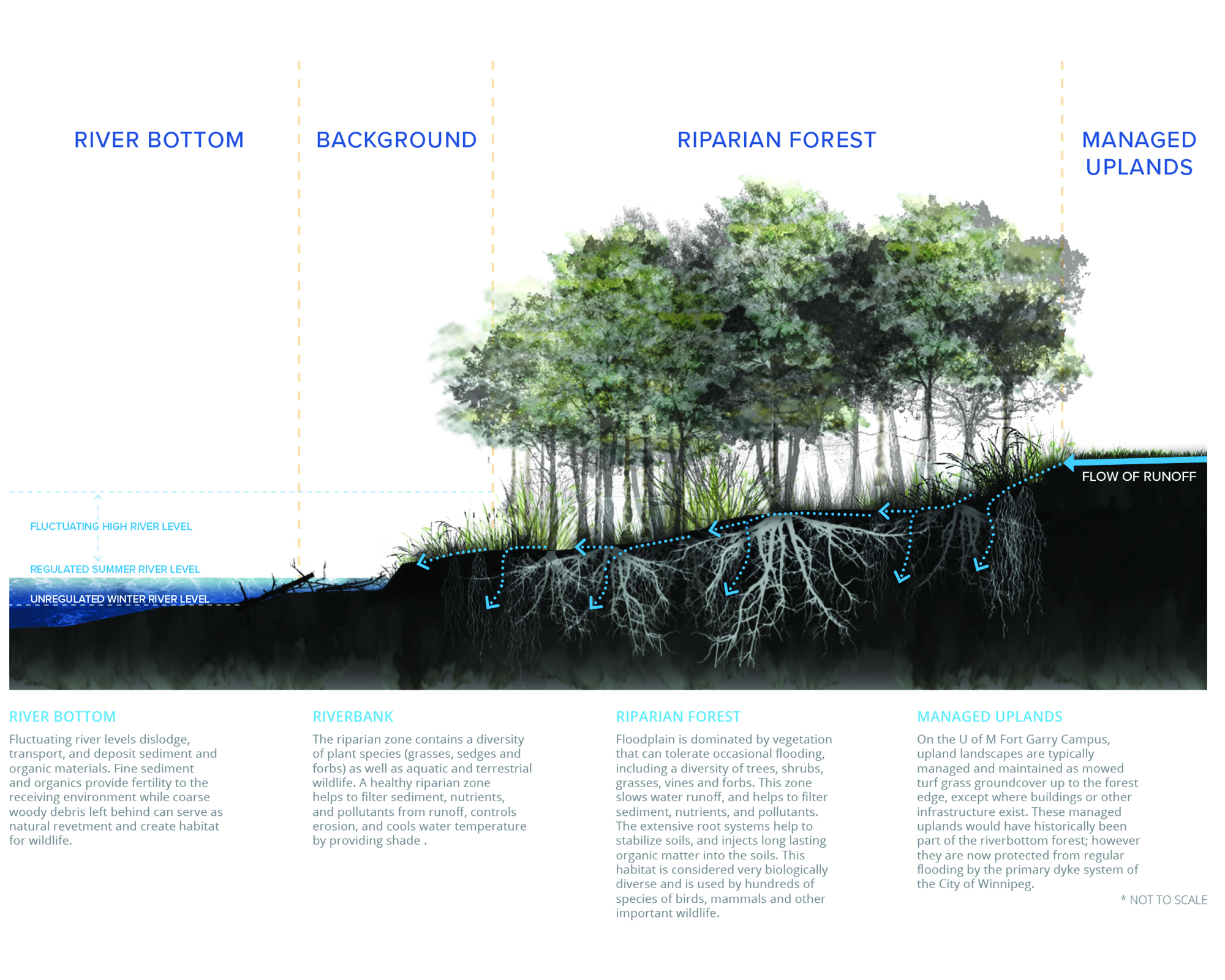 Fort Garry Campus Riverbank Management Study | KGS Group