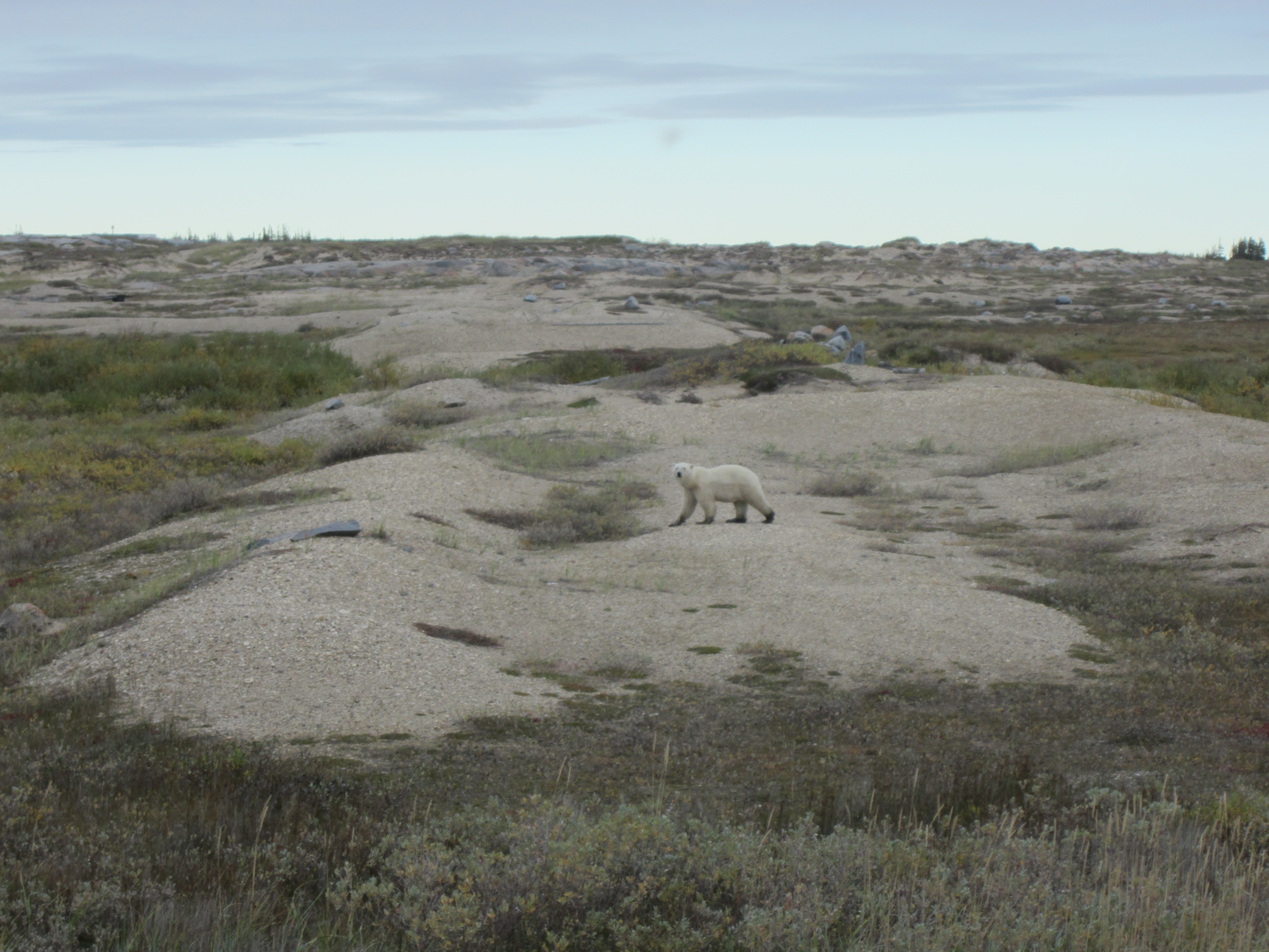 Churchill Rocket Range Environmental Services | KGS Group