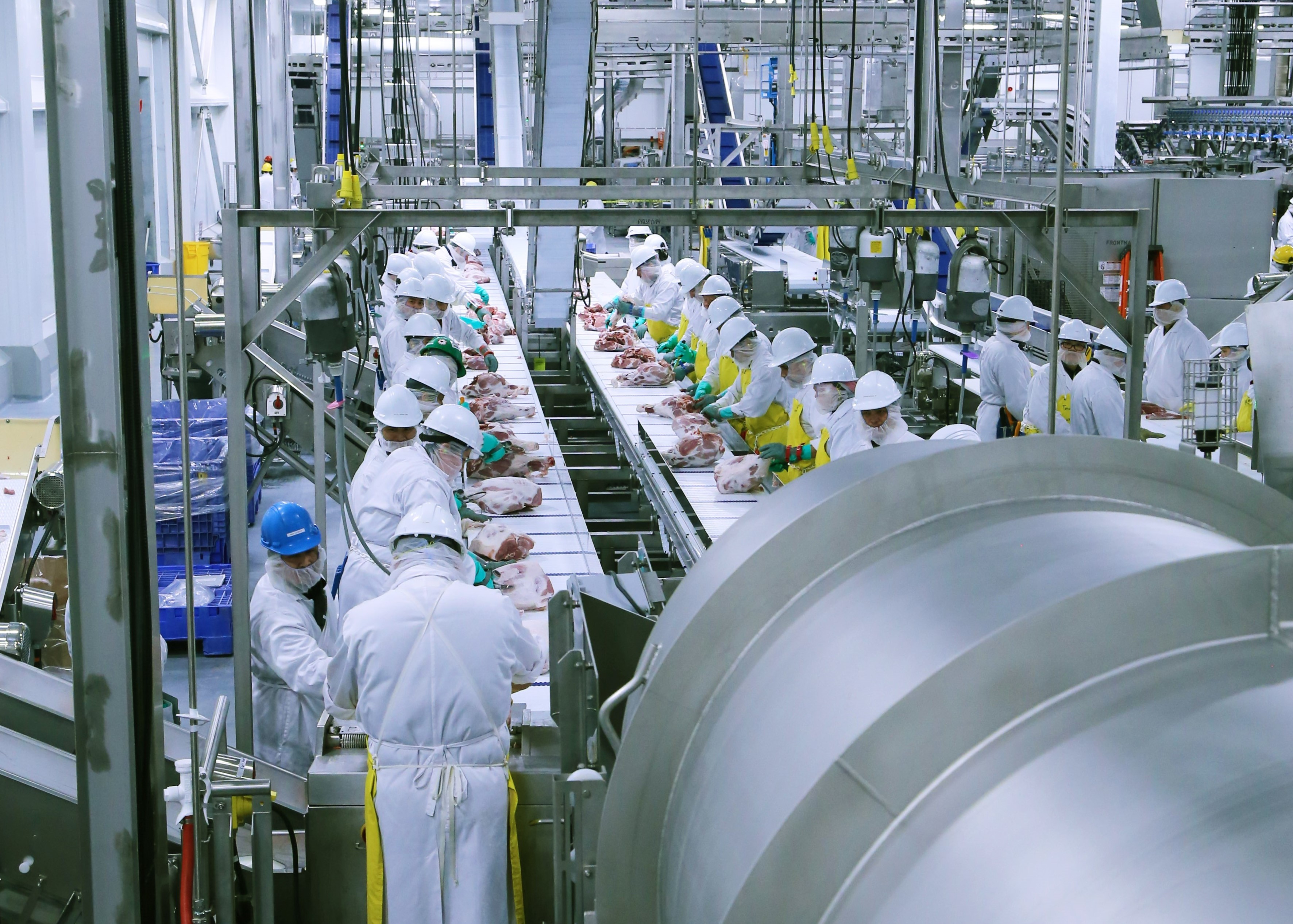 HyLife Pork Processing Plant | KGS Group